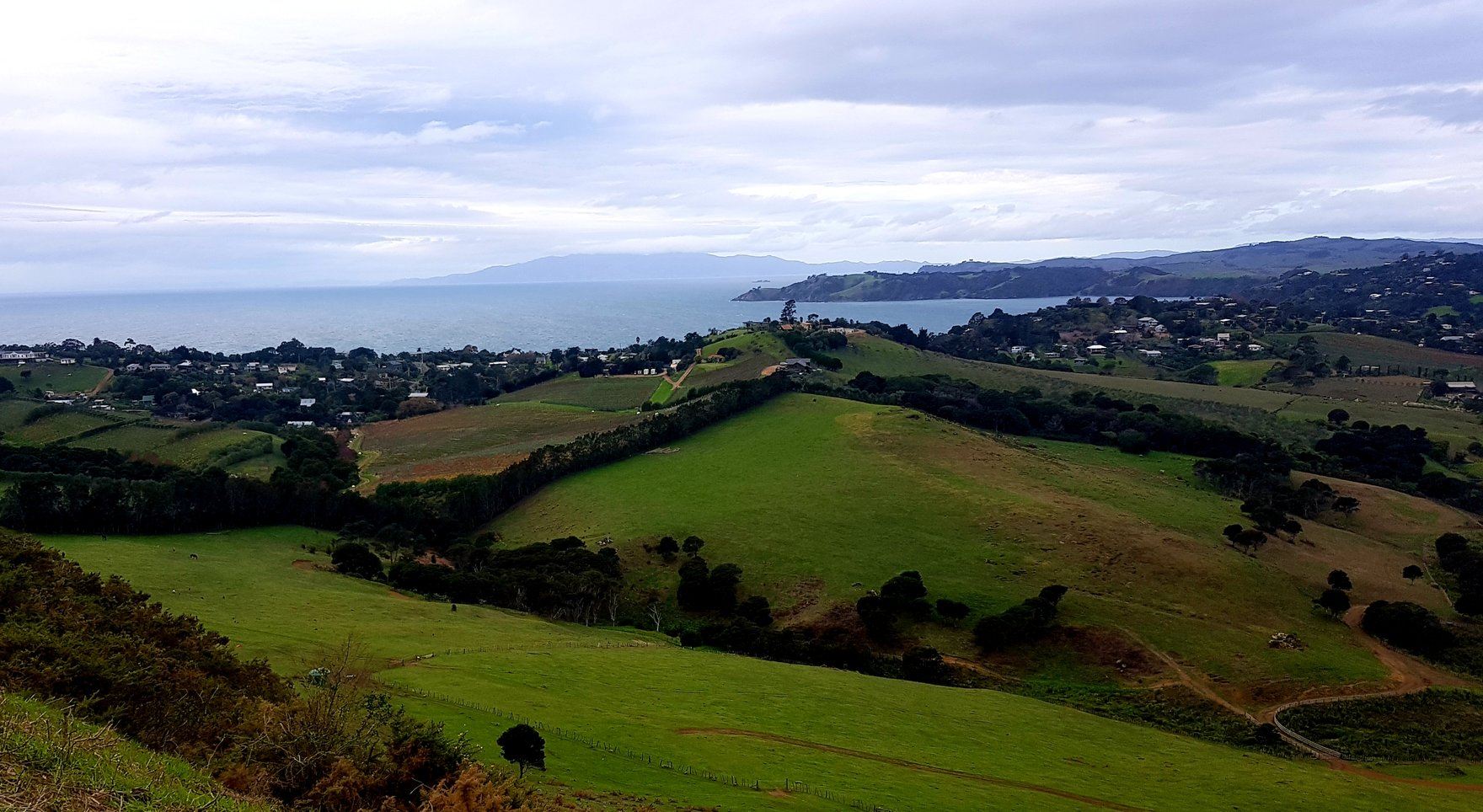 The Stony Ridge Walk Waiheke Walking Festival